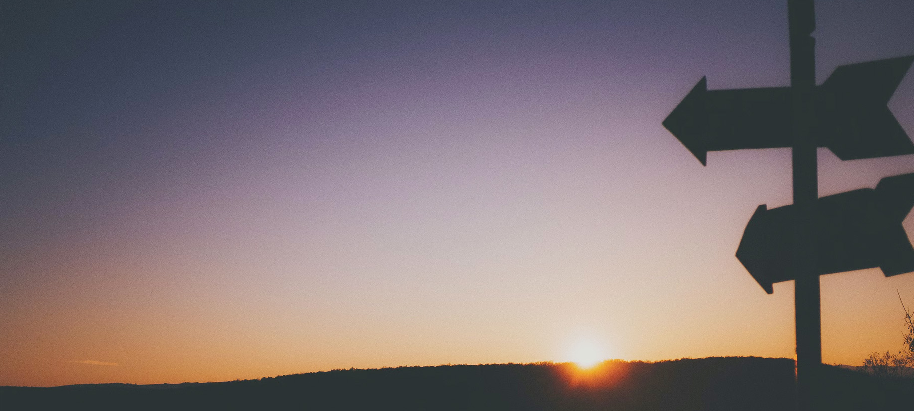 How to use Optimizely | Insights | Remarkable